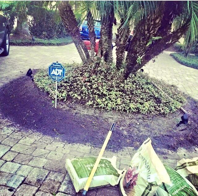 Local Tree Service in Ocoee, FL, 34761.